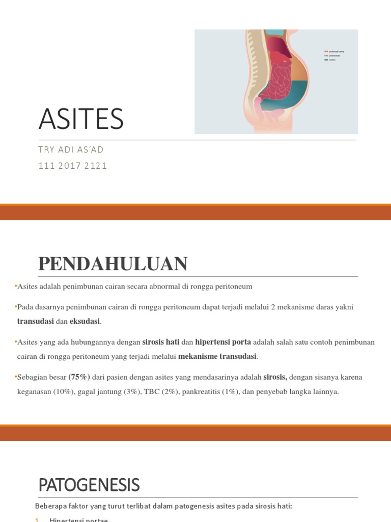 Asites | PDF