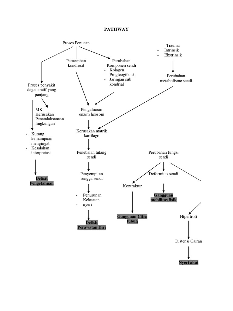 Patofisiologi Osteoartritis Genu | PDF