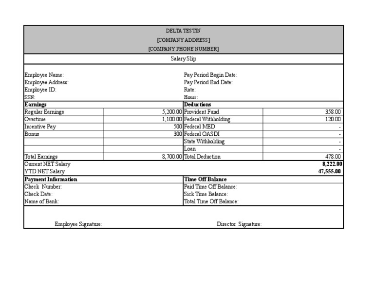 Pay Slip Template | PDF