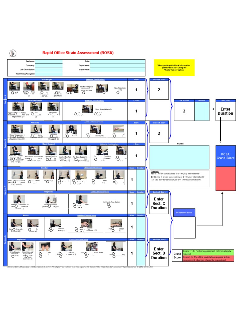 ROSA Form Blank | PDF | Chair