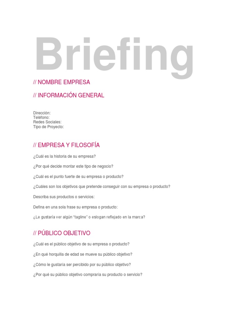 Briefing (Formato en Blanco) | PDF