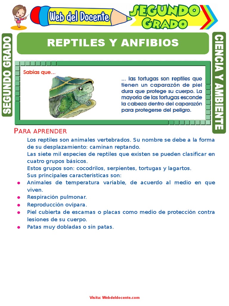 Reptiles y Anfibios para Segundo Grado de Primaria | PDF | Anfibio | Reptil