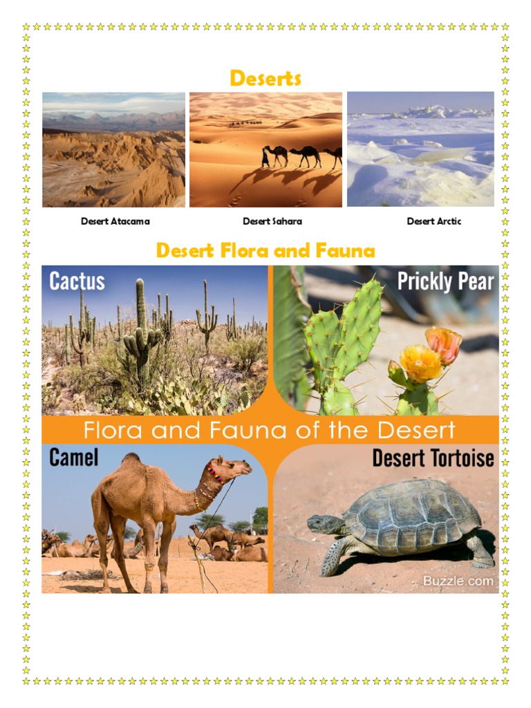 Deserts: Desert Flora and Fauna | PDF