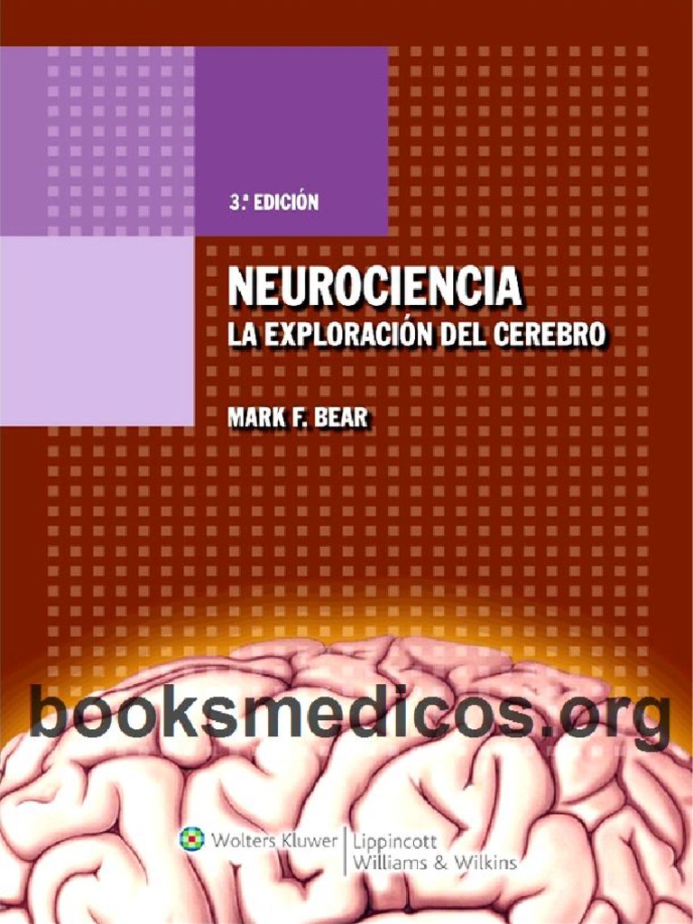 Bear Mark F Neurociencia La Exploracion | PDF