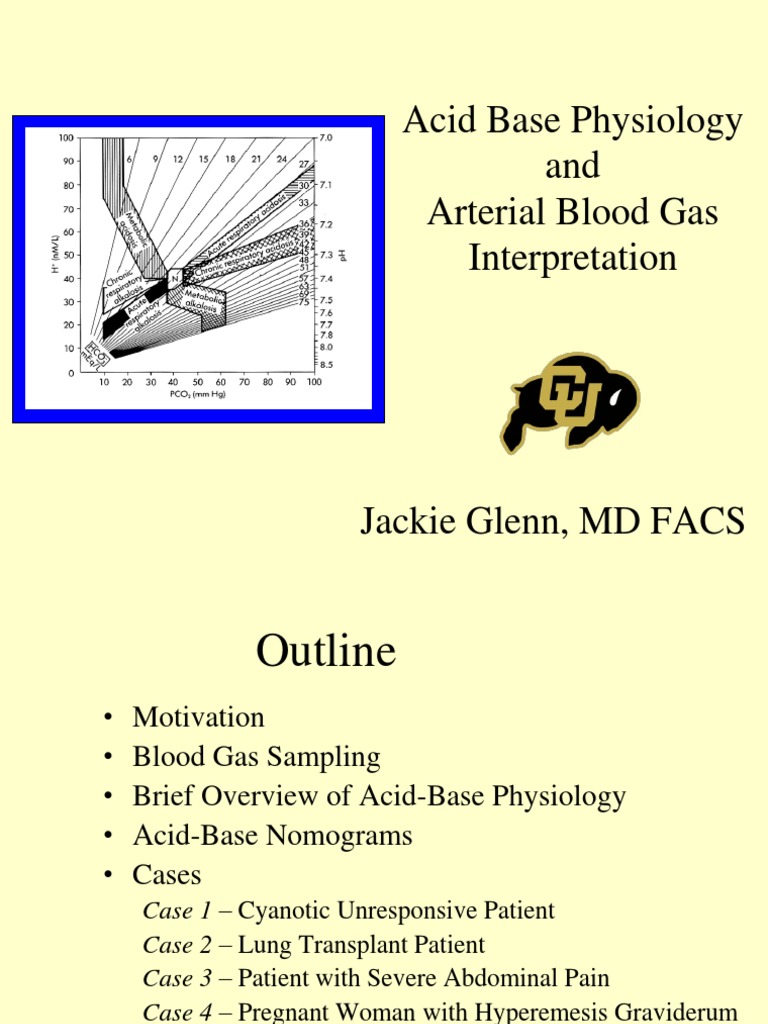2014-02-17 Acid Base Physiology and ABG Interpretation PDF | PDF ...
