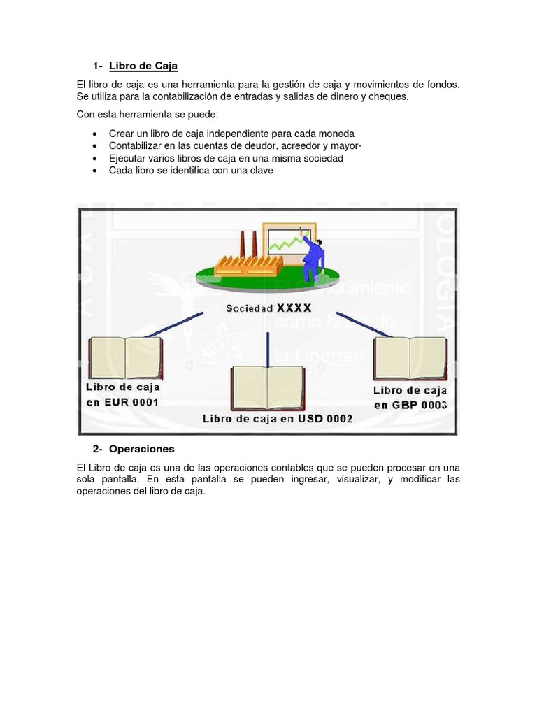 Guía para el Libro de Caja en Contabilidad | PDF | Contabilidad ...