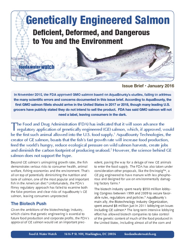 Genetically Engineered Salmon: Deficient, Deformed, and Dangerous To ...
