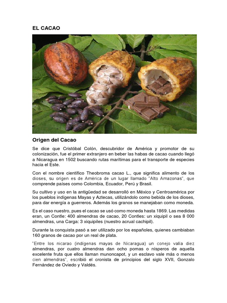 Origen y usos del cacao en Nicaragua | PDF | Alimentos | Cocina