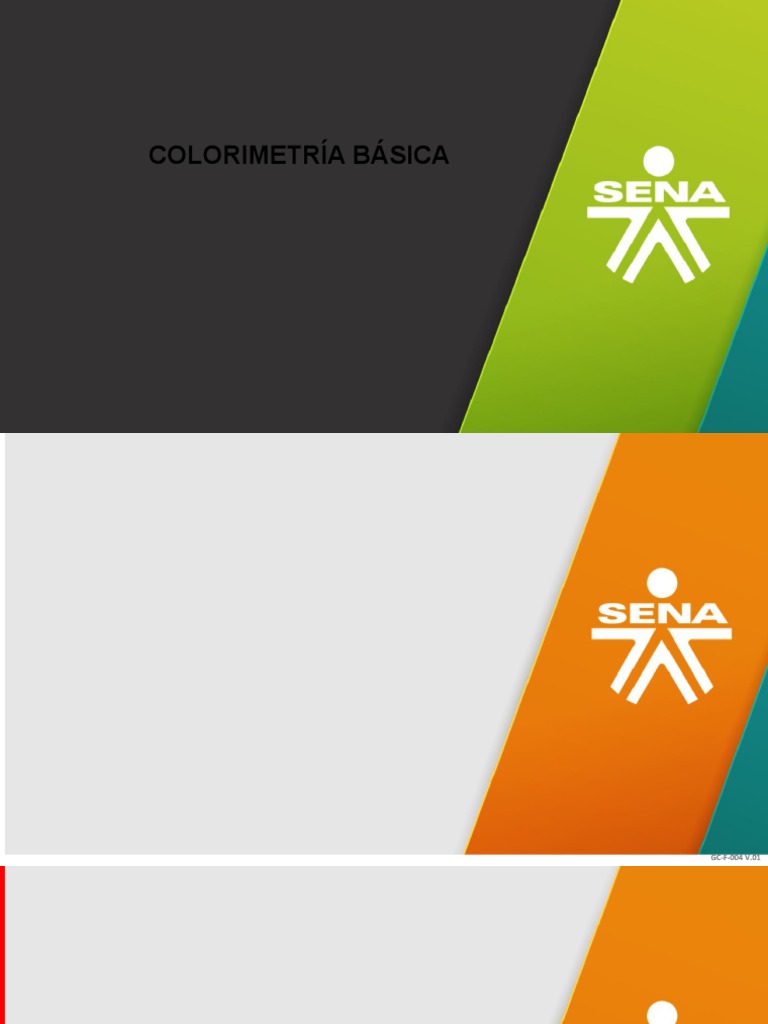 Tic Sena | PDF