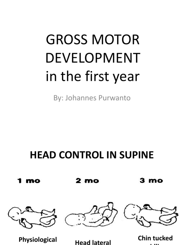 Gross Motor Development in Infants | PDF | Anatomical Terms Of Motion ...