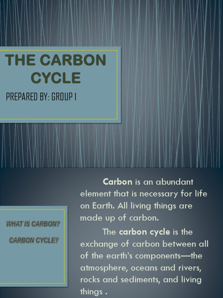 The Carbon Cycle | PDF | Carbon Cycle | Carbon Sink