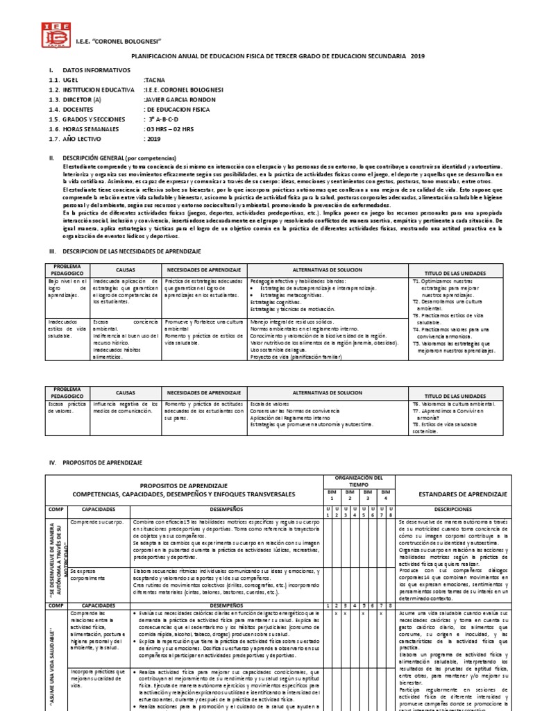 Planificacion Anual de Educacion Fisica | PDF | Aprendizaje | Evaluación
