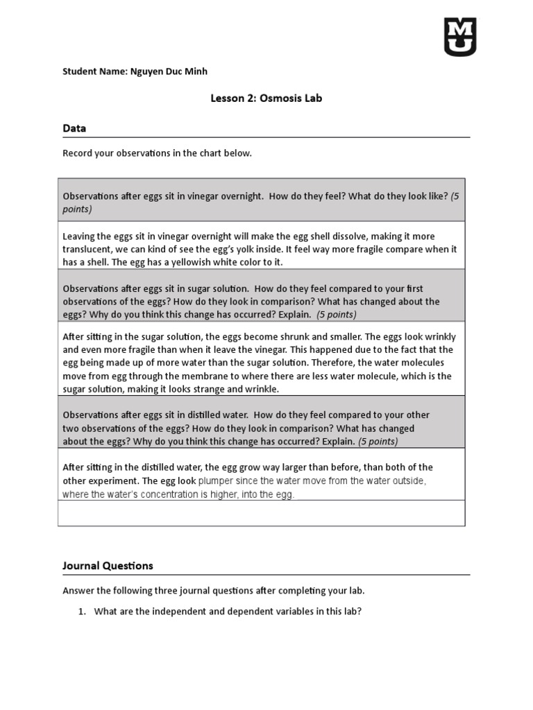 Biology A Lesson2template Osmosislab | PDF | Osmosis | Egg
