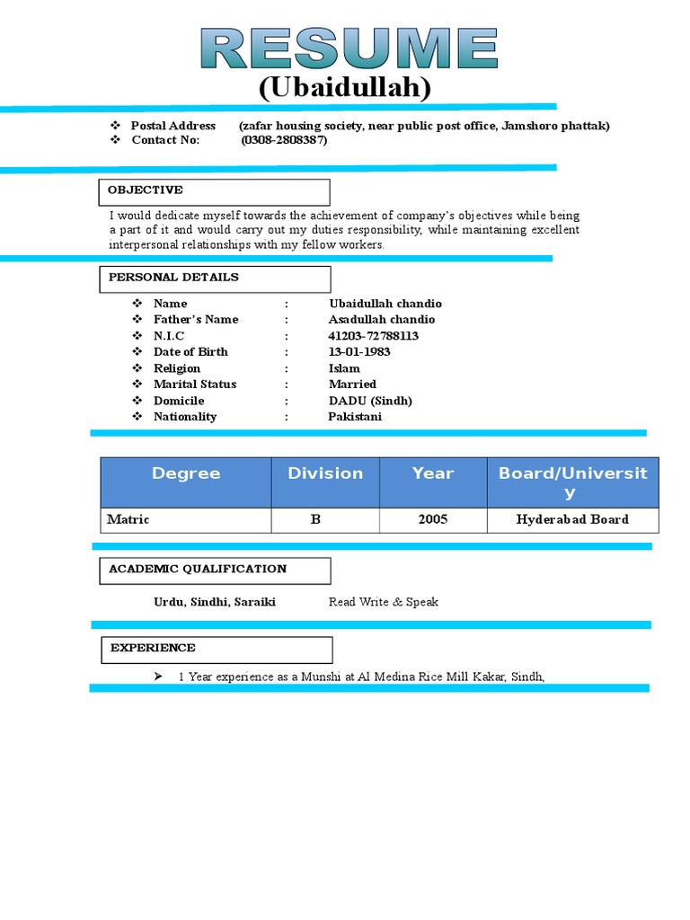 Ubaid CV | PDF