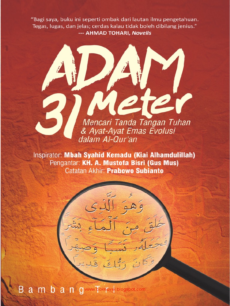 Adam 31 Meter | PDF