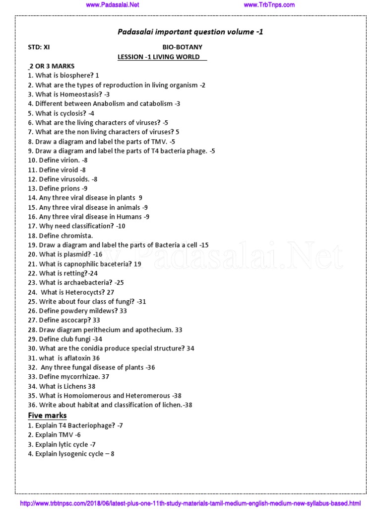 11th Bio Botany Important Questions For Volume 1 PDF | PDF | Mitosis ...