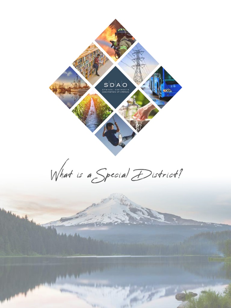 What Is Special District | PDF | Board Of Directors | Taxes