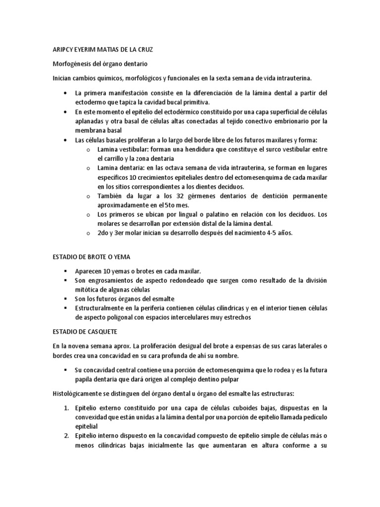 Morfogénesis Del Órgano Dentario | PDF | Epitelio | Anatomía