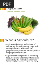 Sample Let Answer Sheet | PDF | Test (Assessment)