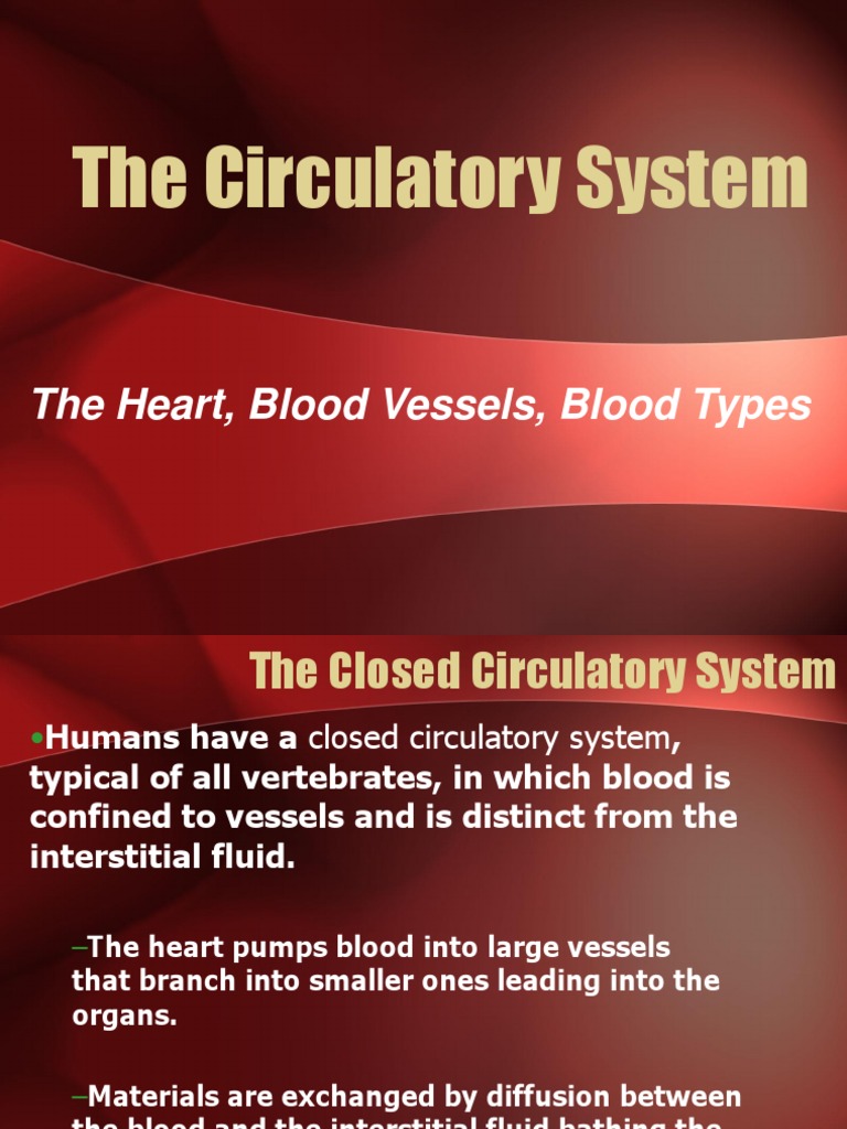 The Circulatory System: The Heart, Blood Vessels, Blood Types | PDF ...
