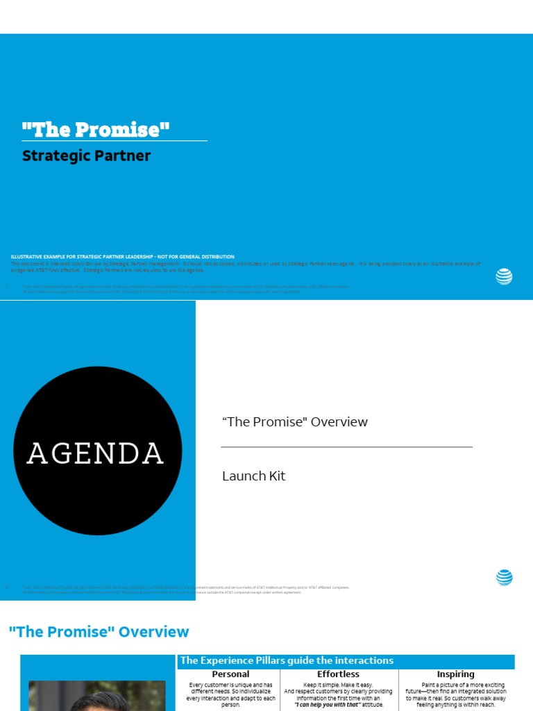 1 The Promise Manager Guide Strategic Partners | PDF | At&T | Ownership