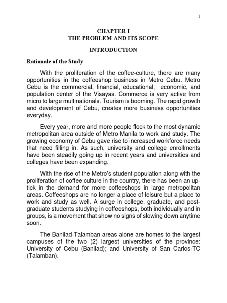 Business Plan Chapter 1 | PDF | Laundry | Economies