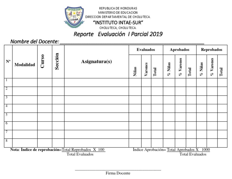 Informe Evaluación Parcial INTAE-SUR 2019 | PDF