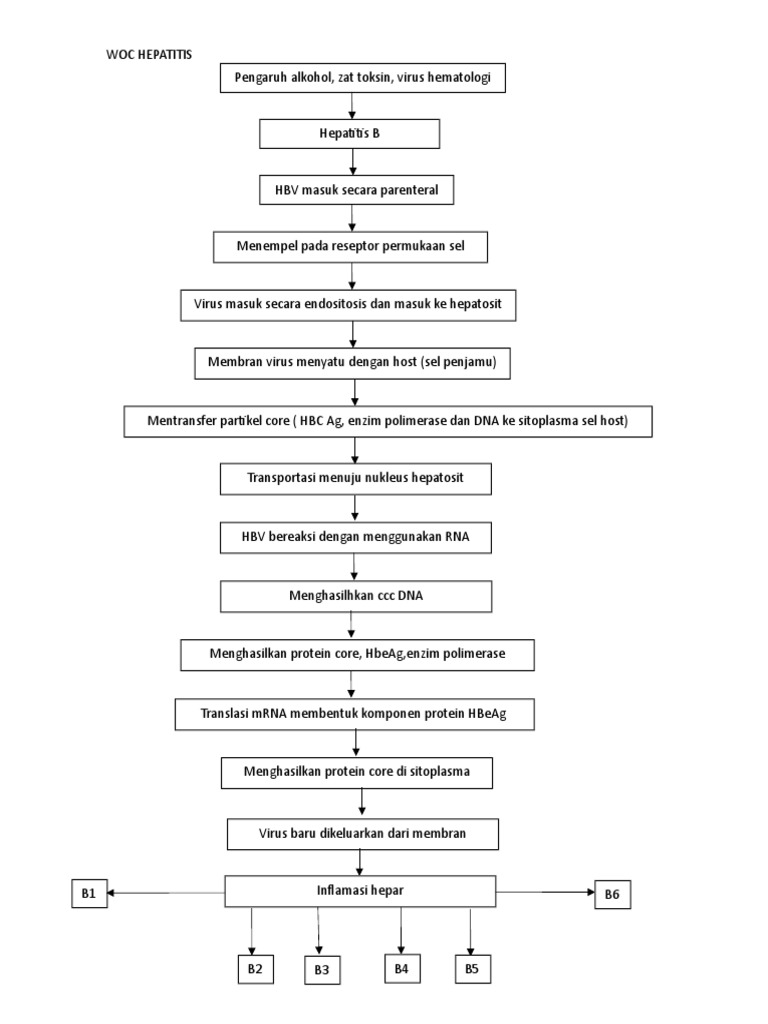 WOC Hepatitis | PDF