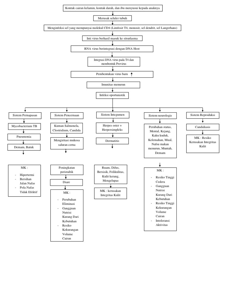 Pathway HIV AIDS | PDF