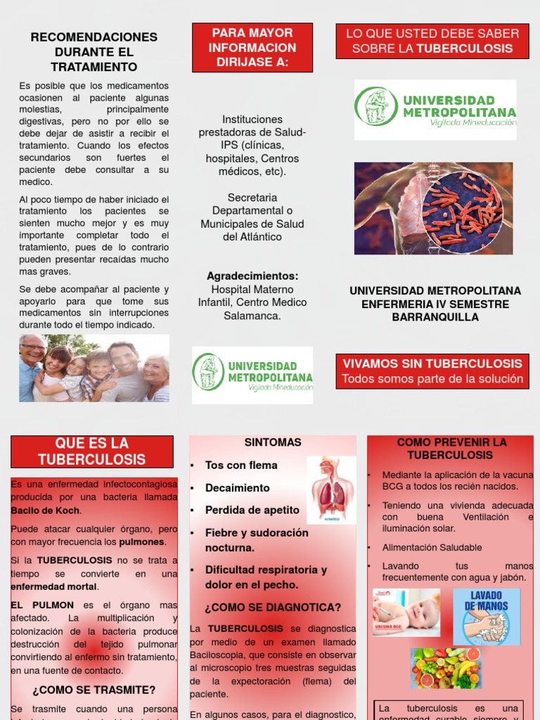 Folleto de Tuberculosis para Editar | PDF | Tuberculosis | Enfermedades ...