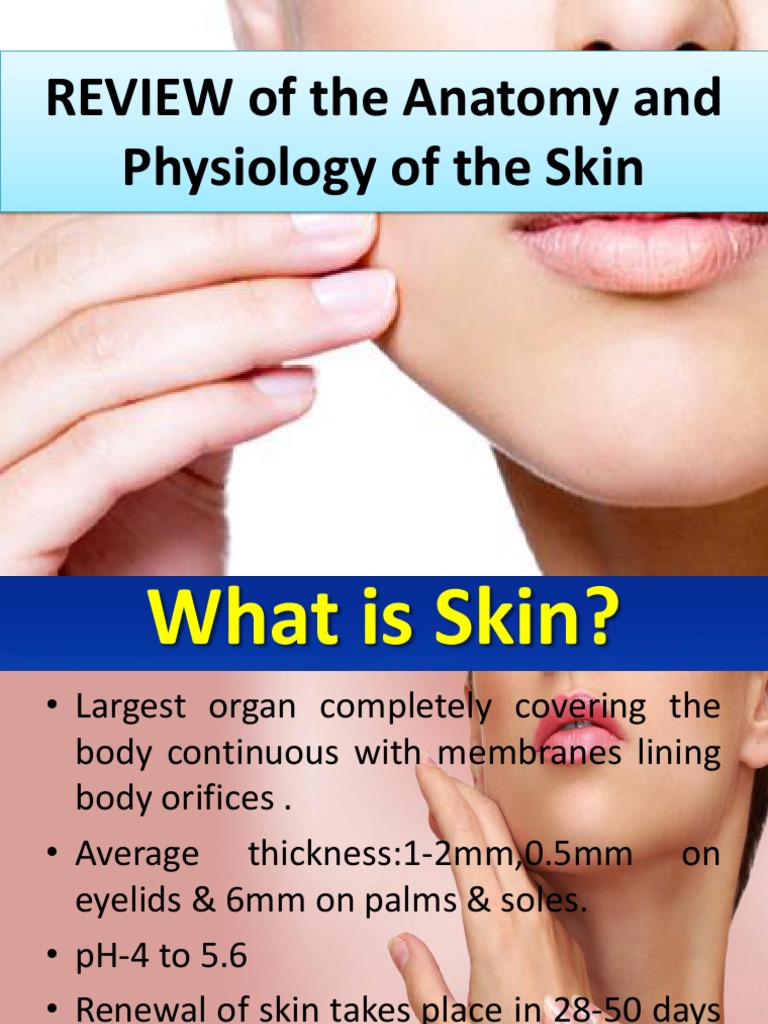 Review of the anatomy and physiology of the skin | PDF