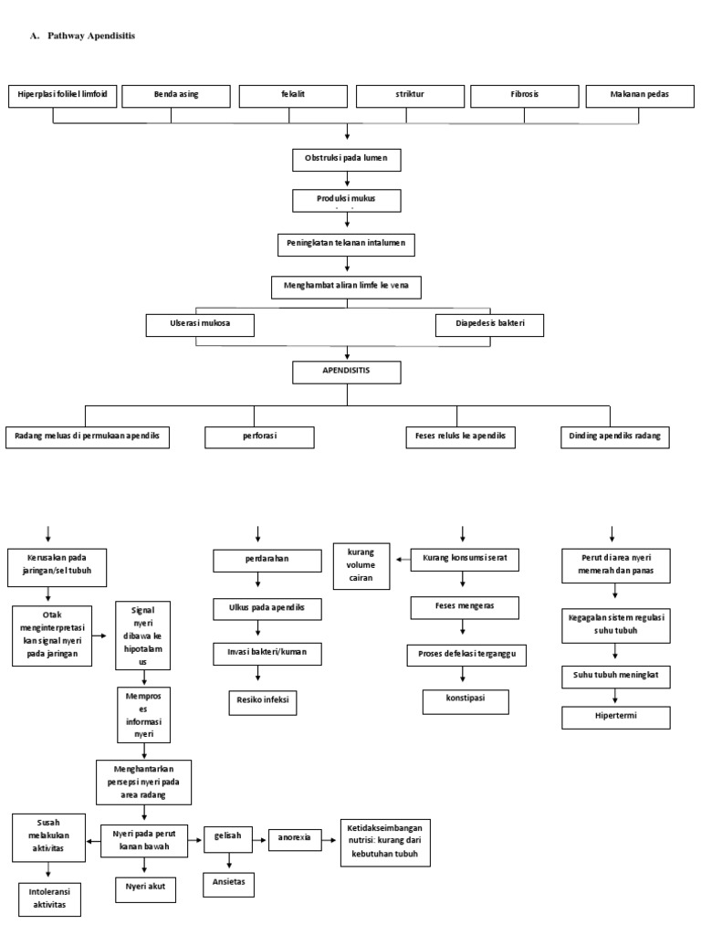 Pathway Apendisitis | PDF