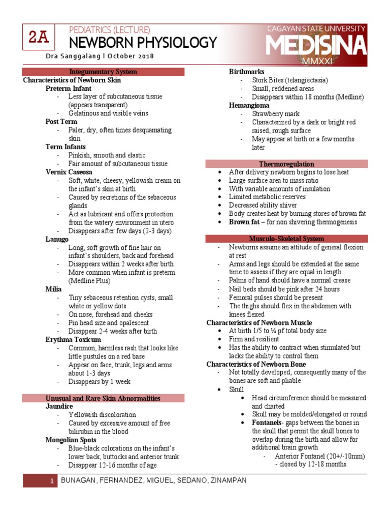 Pedia Newborn Physio | Download Free PDF | Fetus | Aorta