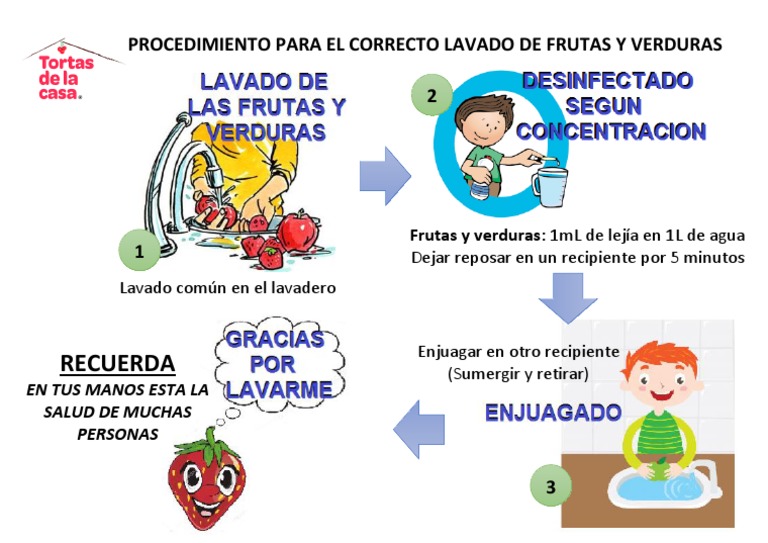 Procedimiento para El Correcto Lavado de Frutas y Verduras | PDF