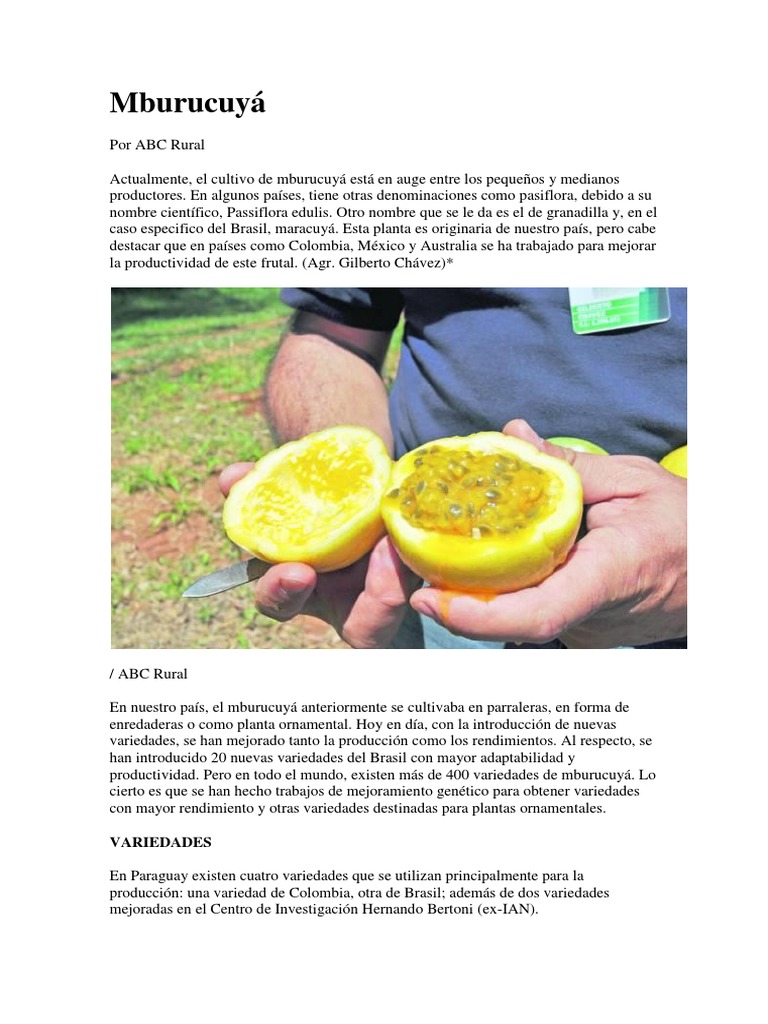 Mburucuya | PDF | Botánica | Plantas