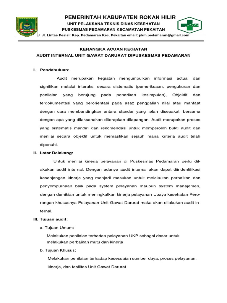 Kak Audit Ugd | PDF