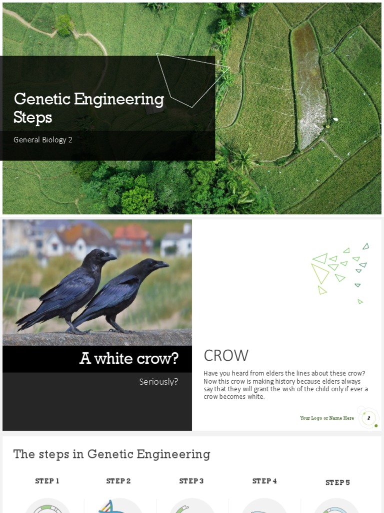 Genetic Engineering Steps: General Biology 2 | PDF | Plasmid ...