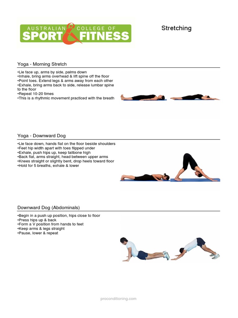 Stretching | PDF | Anatomical Terms Of Motion | Foot