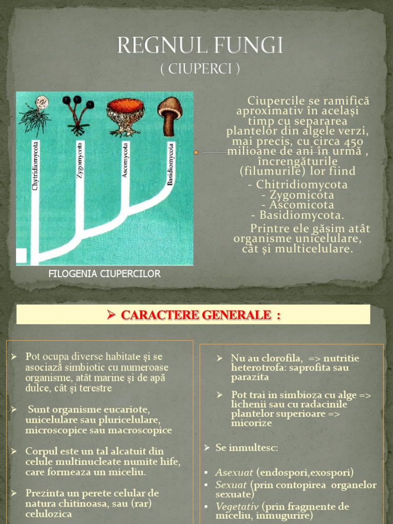 Proiect Biologie - Regnul Fungi 1 | PDF