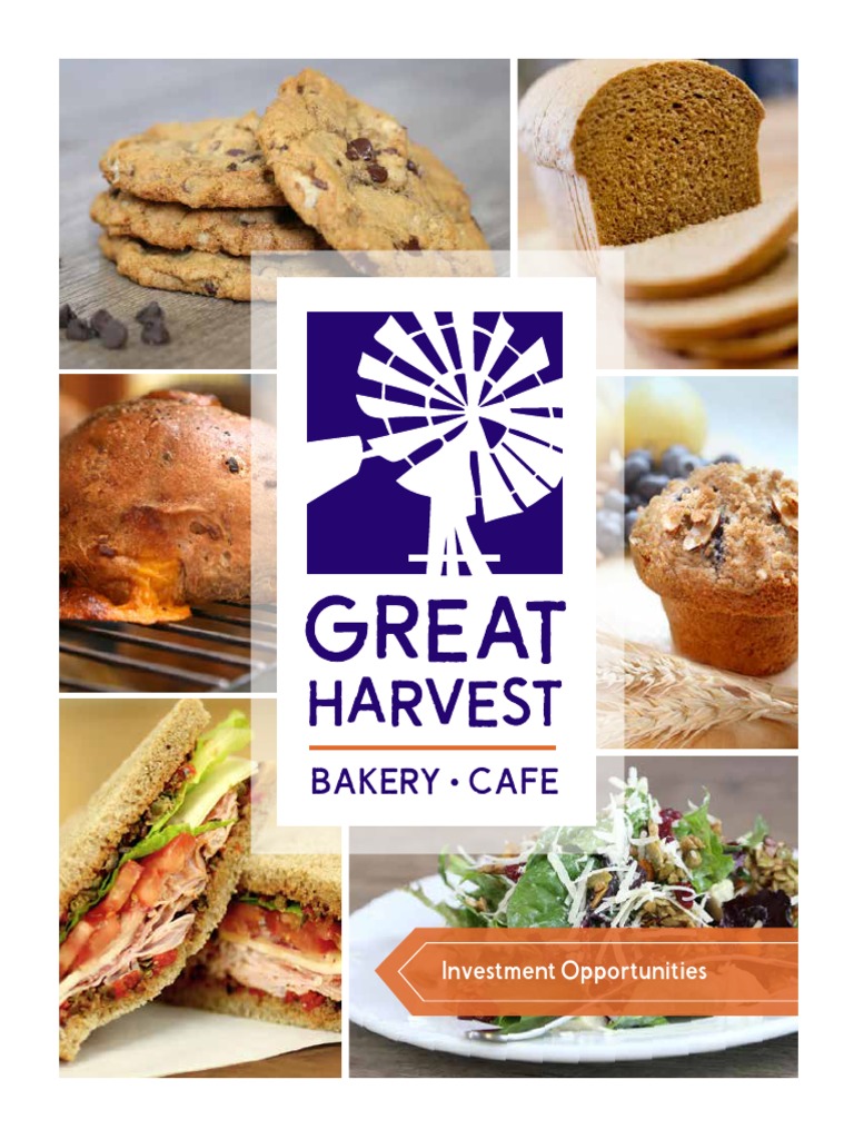 Franchise Opp Booklet | PDF | Franchising | Vinaigrette