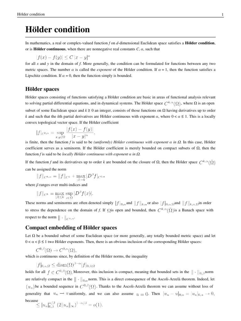 Hölder Condition | Download Free PDF | Continuous Function | Norm (Mathematics)