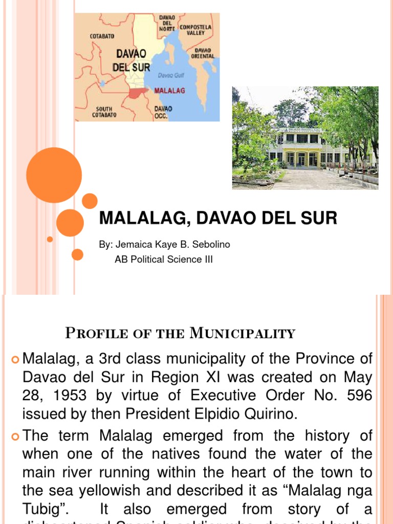 Malalag, Davao Del Sur | PDF | Economies | Business