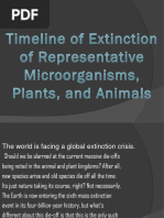 List of Extinct Animals of The Philippines | PDF | Science | Paleontology