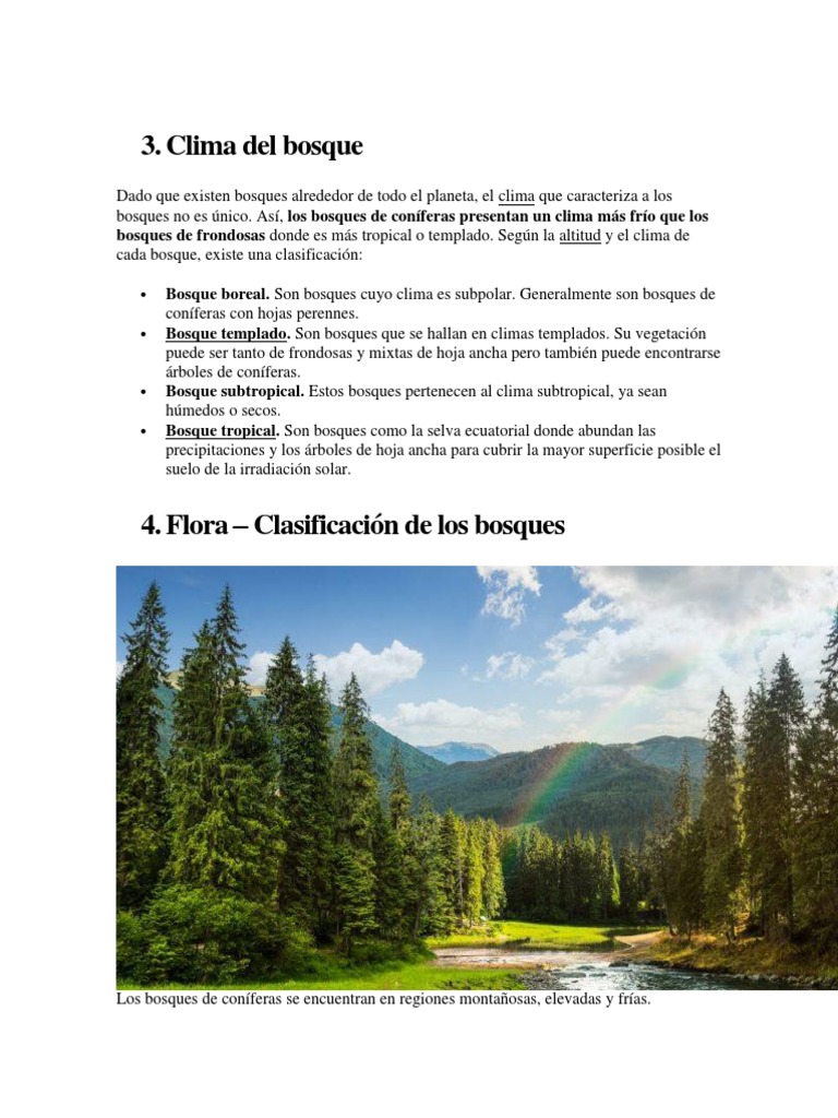 Clima Del Bosque | PDF | Los bosques | Selva