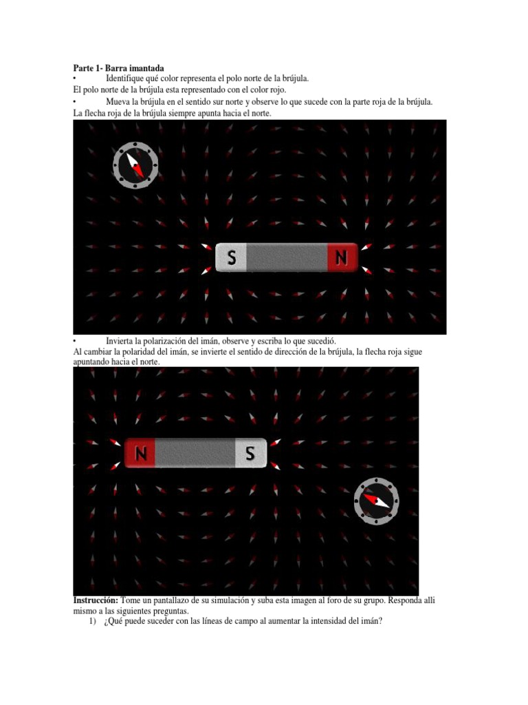 Trabajo Colaborativo de Fisica 2 | PDF | Imán | Campo magnético