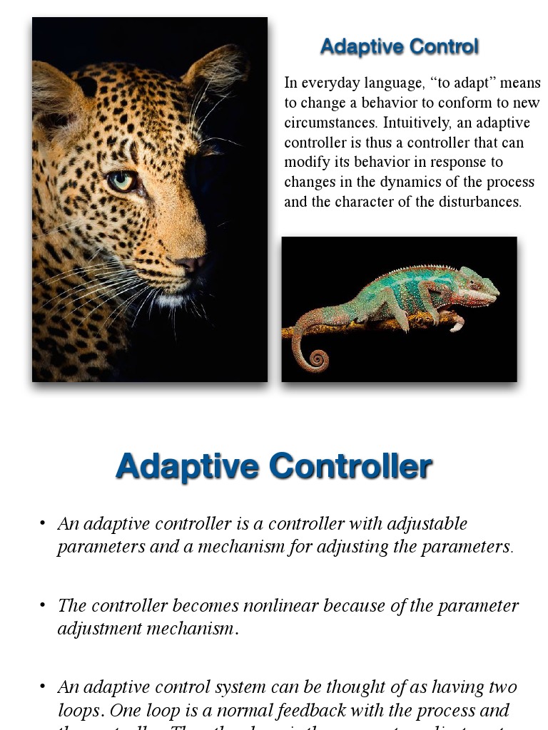 Adaptive Control | PDF | Control Theory | Feedback