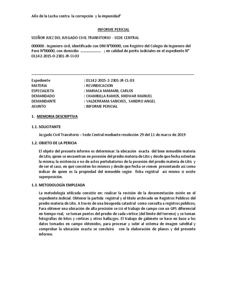 Informe Pericial | PDF | Topografía | Geografía
