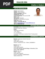 Curriculum Vitae Hector | PDF