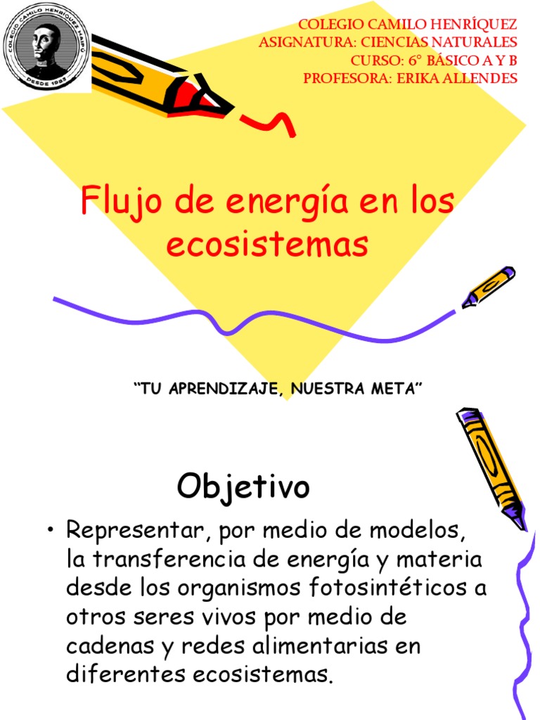 Ciencias - 6º A y B - Flujo de Energía en Los Ecosistemas | PDF ...