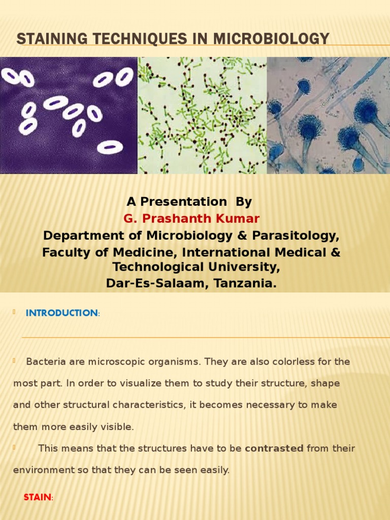 Staining Techniques in Microbiology | PDF | Staining | Gram Positive ...
